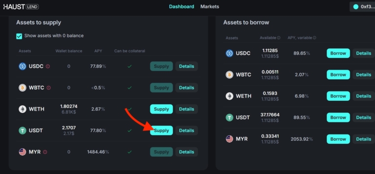 Haust Network Tutorial: Collect Testnet Roles and Get Ready for the ...
